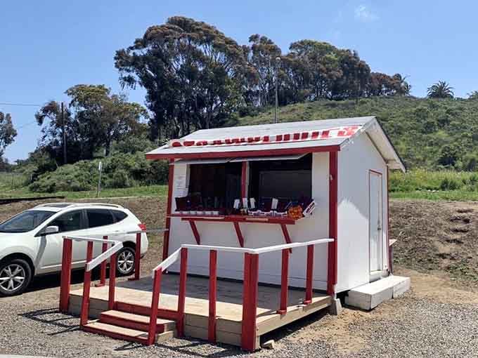 This compact booth proves you don't need fancy infrastructure when you're selling something as genuinely wonderful as fresh strawberries.