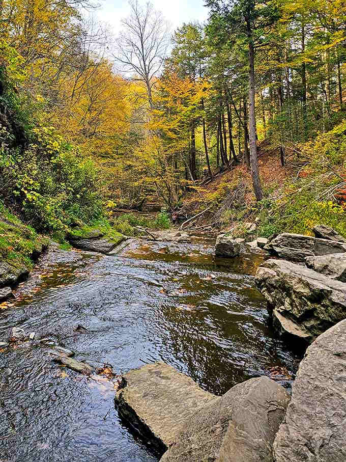 Creek beds lined with smooth rocks and fall colors prove that nature's interior design skills are absolutely unmatched.