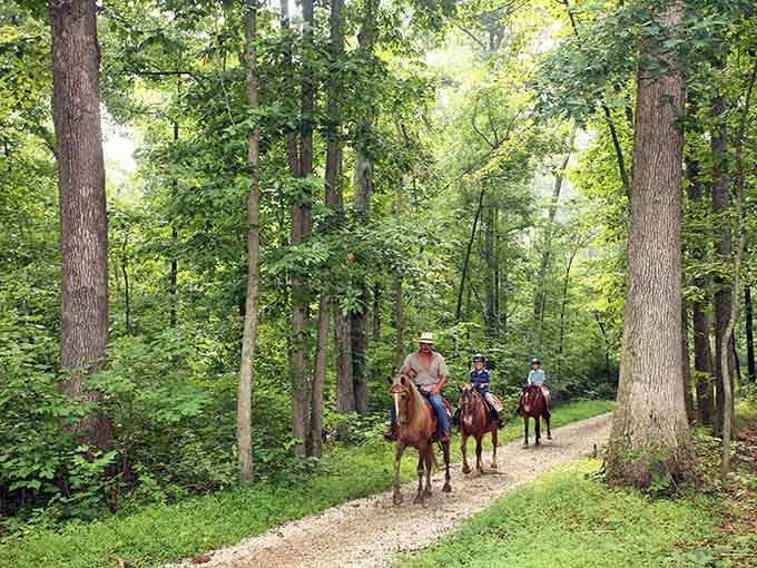 Trail riding through these woods on horseback makes you feel like you've stepped into a classic Western film.
