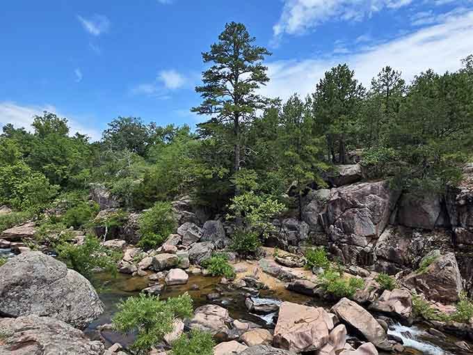 Towering trees frame the shut-ins like nature's own cathedral, providing shade and that perfect dappled sunlight effect photographers love.