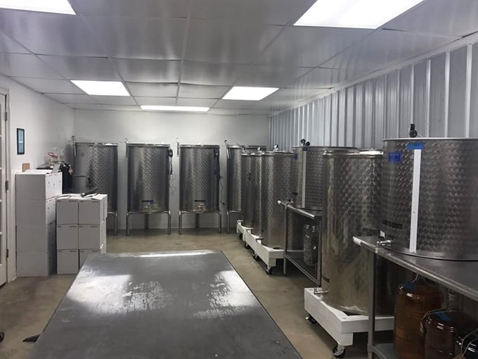 Behind the scenes, stainless steel tanks work their magic transforming grapes into liquid happiness.