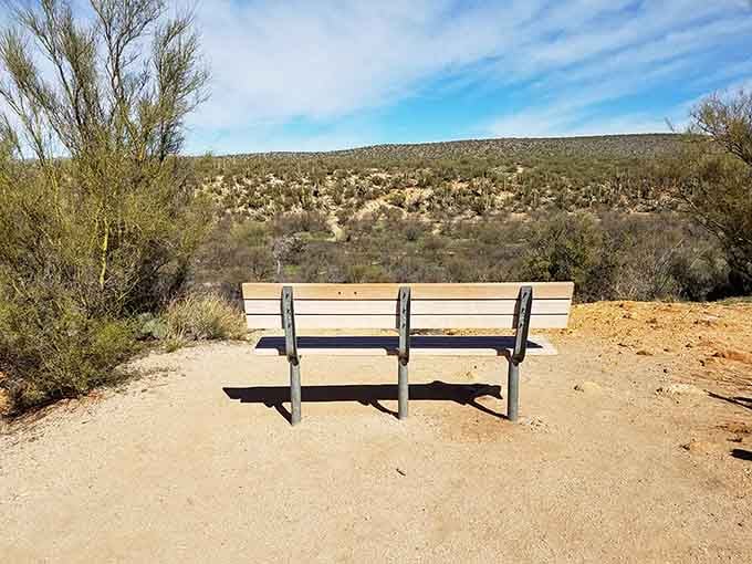 Sometimes the best view comes from sitting still, letting the landscape work its magic on your overstimulated brain.