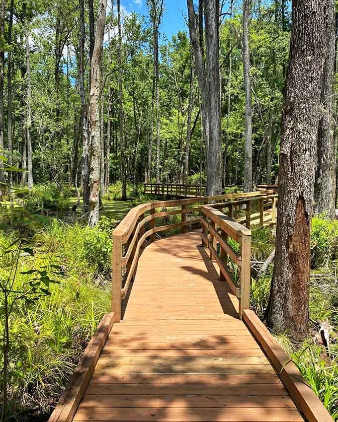 An arched wooden bridge beckons visitors deeper into the preserve, because sometimes the journey really is better than the destination.