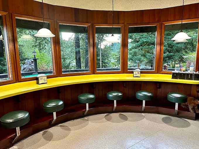 Curved counter seating with forest views through every window&mdash;dine like you're inside a very delicious, very welcoming tree house.