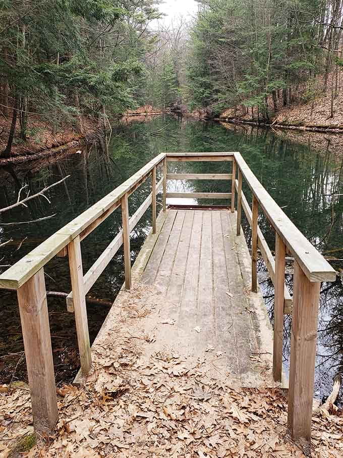 This deck extends into the preserve like a handshake invitation from nature itself, welcoming exploration.