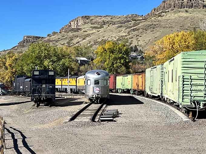 Each colorful freight car tells a story of hauling dreams across the Rockies, one ton at a time.