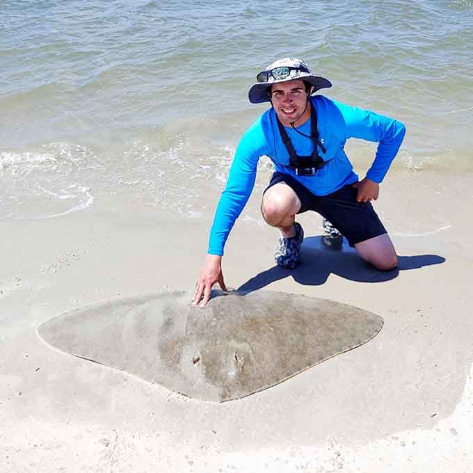 Finding a butterfly ray in the shallows is like discovering a living kite gliding through crystal-clear water.
