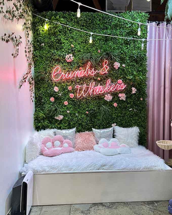 A living green wall and neon signage create the perfect backdrop for both cat naps and your next profile picture.