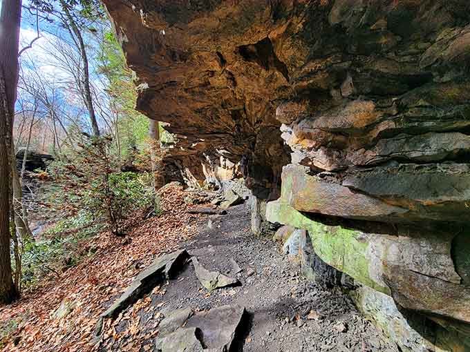 These layered rock formations tell geological stories that make human history look like yesterday's news.