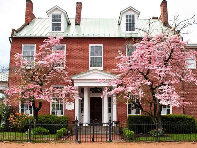 Pink blossoms frame this brick beauty like nature decided the building needed springtime accessories and delivered spectacularly.