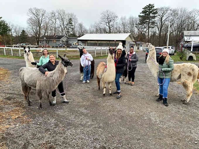 The crew gathers with their trekking companions, about to embark on an adventure that'll make everyone else's weekend plans seem boring.