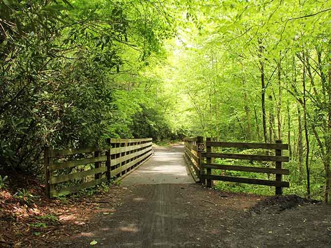 The Virginia Creeper Trail disappears into green tunnels that make you forget the outside world exists.