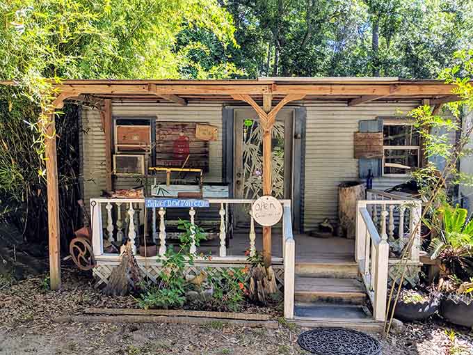 Creativity flourishes in unexpected places, like this charming pottery studio tucked among the island's winding dirt roads and towering trees.