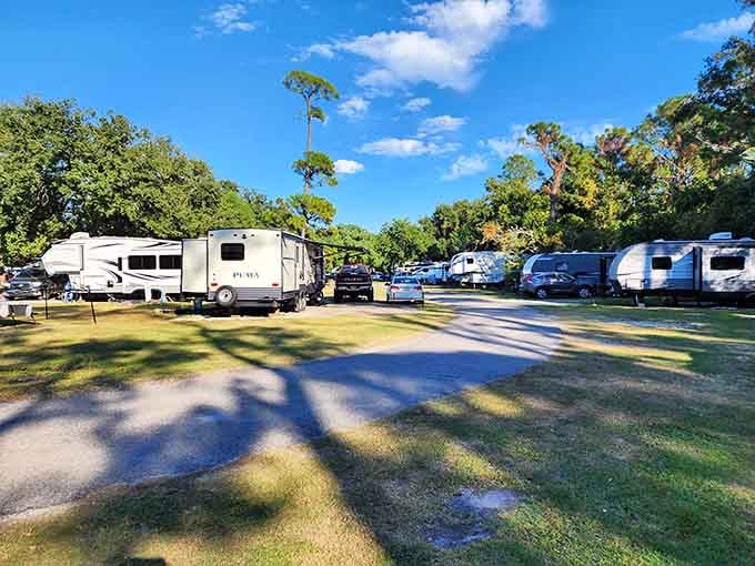 Campgrounds shaded by ancient oaks, where nature provides the air conditioning and the entertainment.