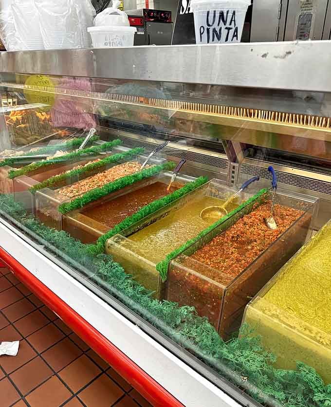 The salsa bar offers heat levels from "gentle warmth" to "why am I like this" territory.