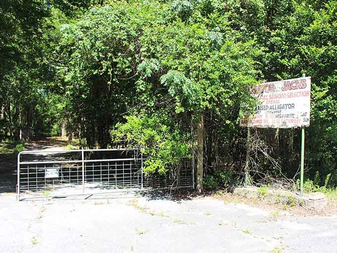 Alligator Jacks' faded sign and locked gate guard whatever mysteries lie beyond, adding intrigue to an already mysterious location.