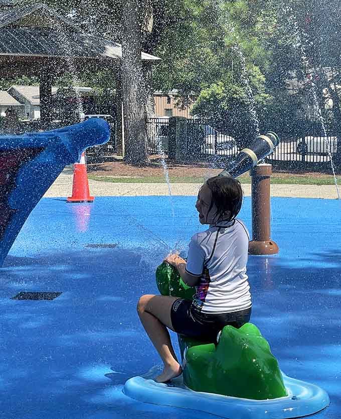 Water cannons and splash features turn ordinary summer days into extraordinary aquatic adventures for delighted children everywhere.