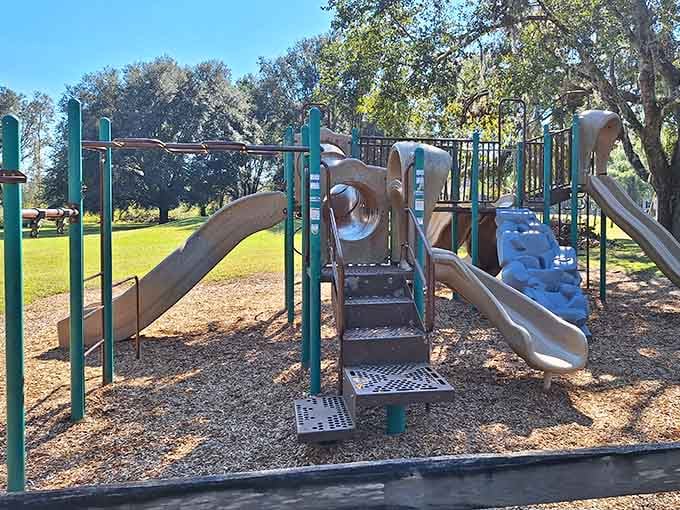 The playground near the trailhead means the kids can burn energy before or after your waterfall adventure.