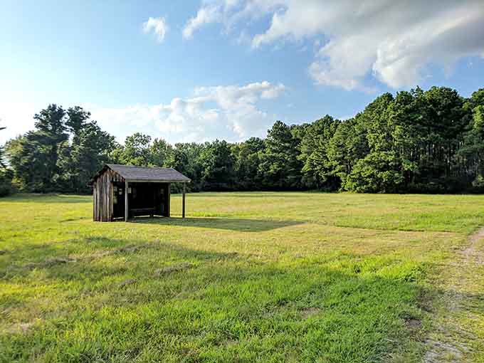 A rustic shelter along the trail, proving that sometimes the best amenities are the simplest ones.