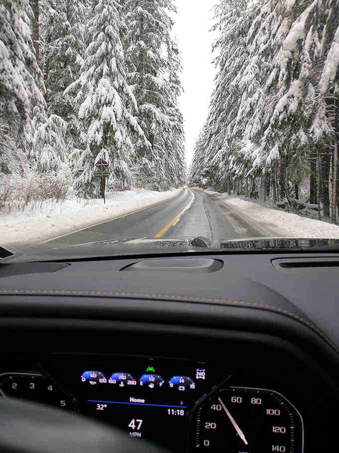 Experience a magical winter wonderland driving through the snow-covered towering pines that line the peaceful roads of this beautiful park.
