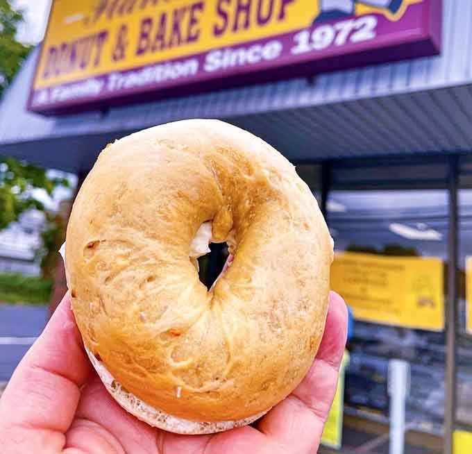 A proper onion bagel wearing its cream cheese like a fluffy cloud of dairy heaven.