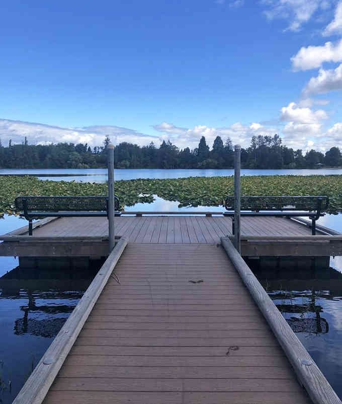 This fishing dock on Waughop Lake offers front-row seats to nature's show, no ticket required for admission.