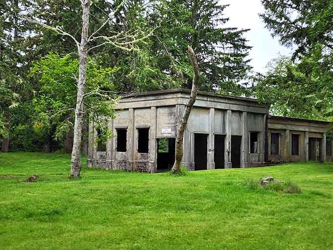 Abandoned bunkers emerge from hillsides like concrete mushrooms, mysterious and oddly beautiful in their Pacific Northwest decay.