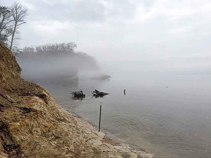 Foggy mornings add mystery to the cliffs, making your fossil hunt feel like something from a Steven Spielberg movie.