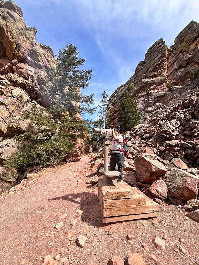 Wooden steps help navigate the rocky sections, proving that even wilderness trails can have thoughtful infrastructure and good manners.