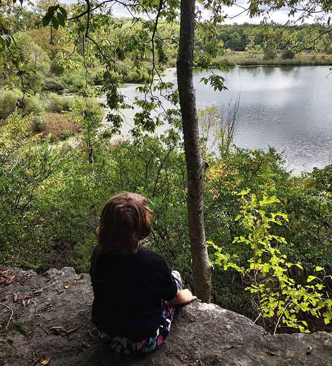 Sometimes the best view requires a little contemplation, a sturdy tree, and absolutely zero cell phone service to ruin it.