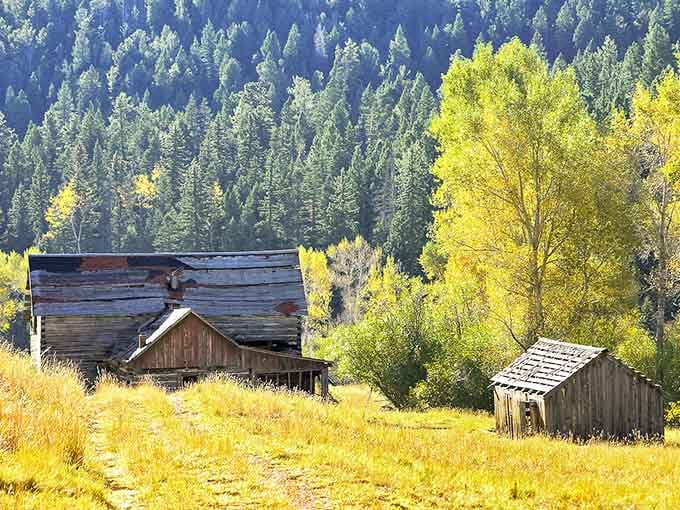 Abandoned homesteads surrounded by golden aspens whisper stories of dreams pursued in unforgiving but beautiful country.