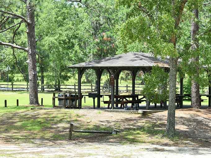 The perfect pavilion for family gatherings where Uncle Bob's stories actually compete with the scenery for attention.