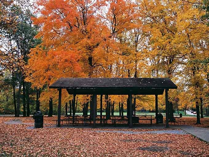 Fall leaves carpet the ground beneath this sheltered pavilion, creating nature's own confetti for your outdoor gathering.