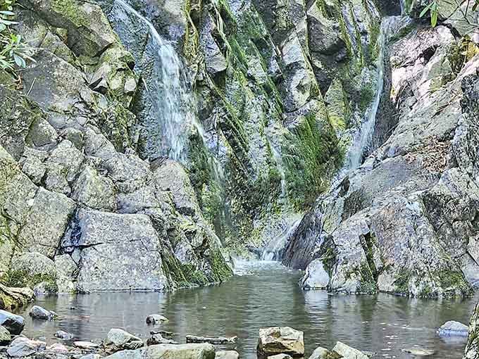 Small cascades tumbling over ancient rocks create those soothing water sounds that expensive meditation apps try to replicate.