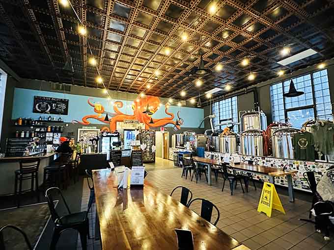 Man Skirt Brewing's interior features decorative ceiling tiles and brewing equipment, where art meets science deliciously.