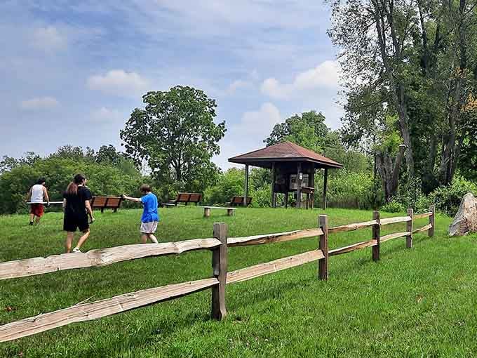 Families discovering together that the best entertainment doesn't require WiFi, just binoculars and patience.