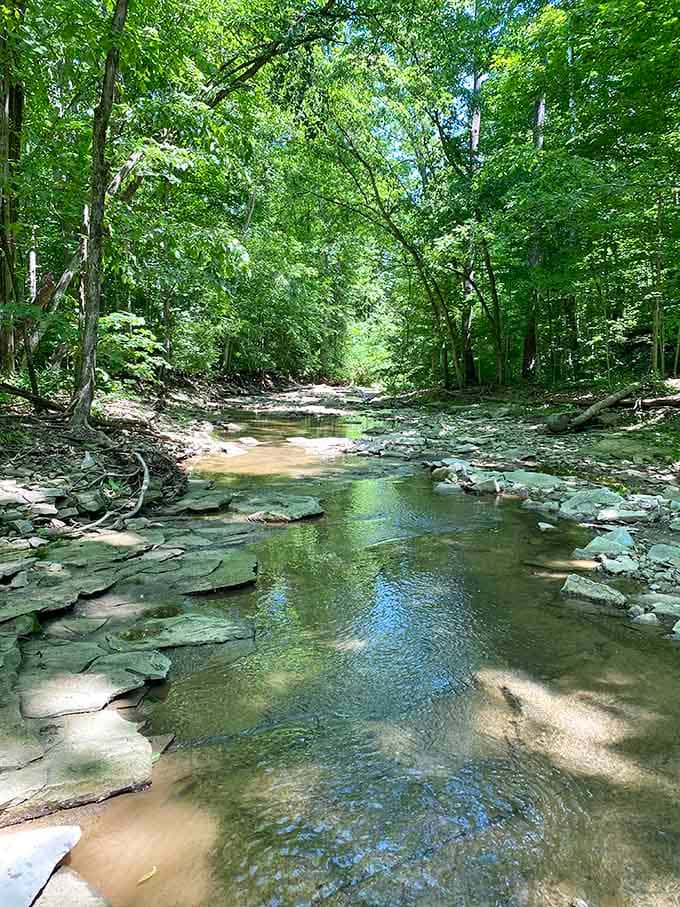 Ross Run continues its patient work of sculpting the landscape, one gentle flow at a time forever.