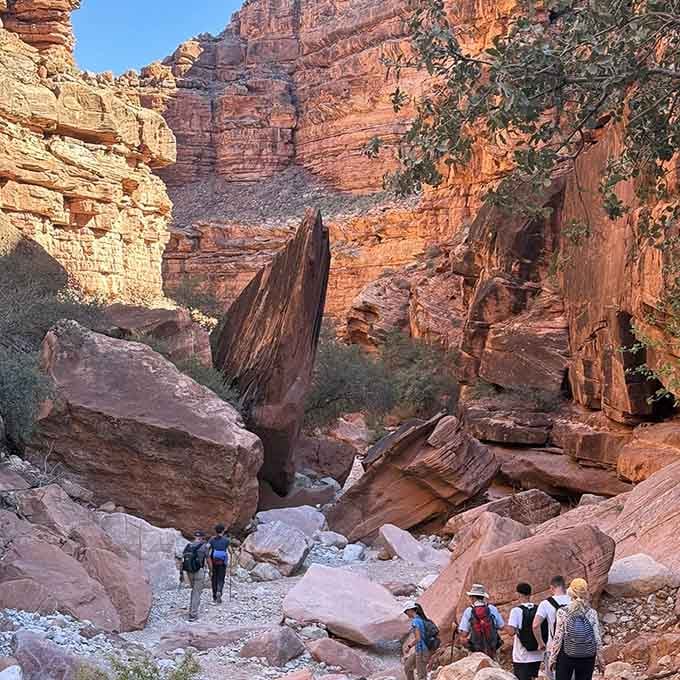 Havasu Canyon stretches toward the horizon, reminding you that some journeys are measured in wonder, not just miles.