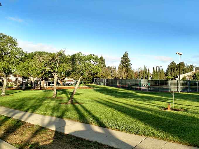 Stony Brook Park with tennis courts that don't require membership fees equivalent to a car payment each month.