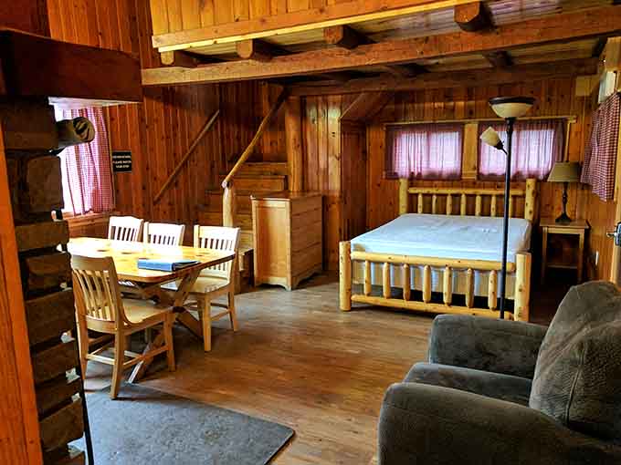 Cozy cabin interior with log walls and rustic furniture, where "roughing it" includes actual beds.