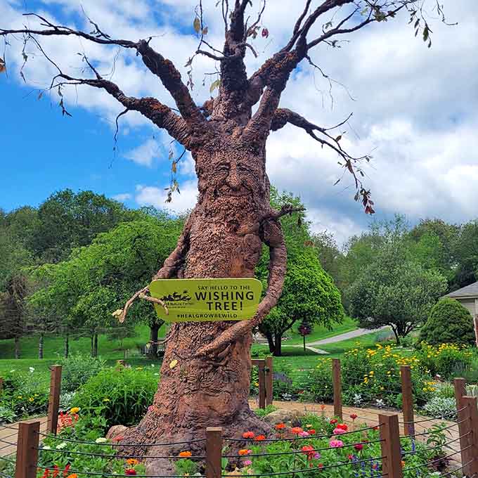 The Howell Nature Center's Wishing Tree sculpture reminds us that magic exists outside of Disney movies and smartphone screens.