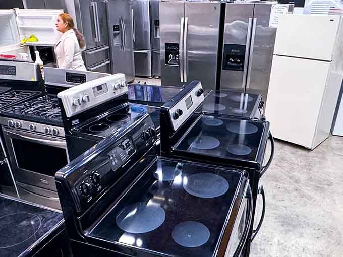 Kitchen appliances lined up like soldiers, ready to transform your cooking game without emptying your retirement fund completely.