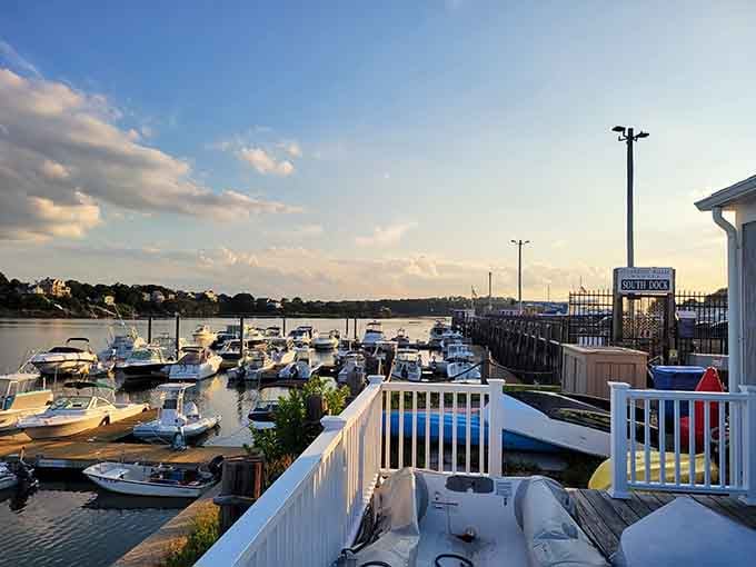 Sunset views from the deck remind you why waterfront dining beats strip mall restaurants every time.