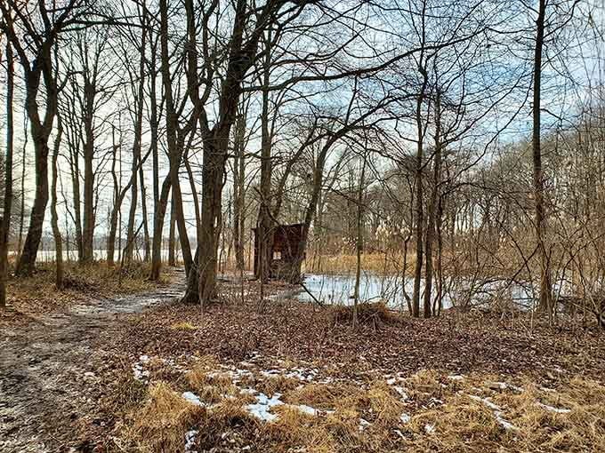 Wooded trails wind past winter waters, offering solitude that's surprisingly rare in metropolitan Philadelphia's busy landscape.