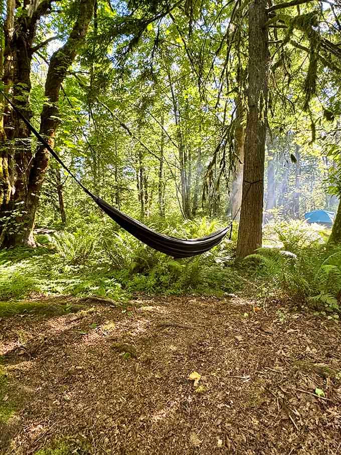 Find your perfect hammock spot, bring a book, and master the art of productive laziness among the trees.