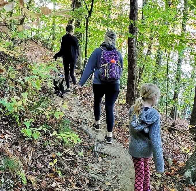 Family-friendly trails where everyone from tiny humans to adults can explore together without drama.