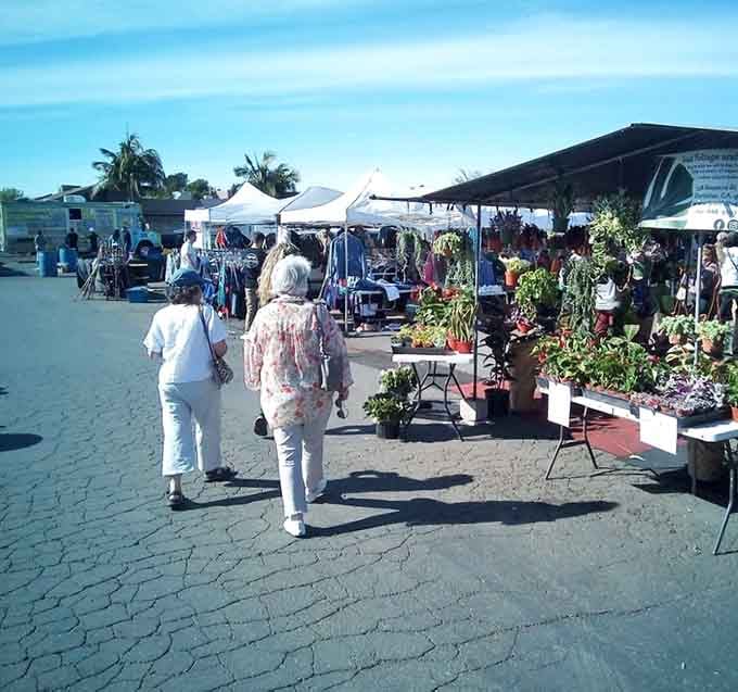 Morning shoppers stroll past blooming plants under perfect California skies, hunting bargains with the determination of seasoned pros.