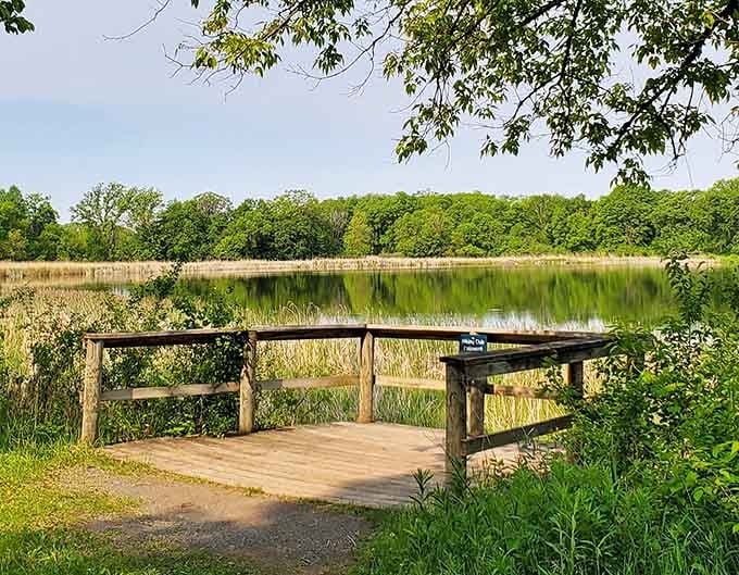 Lakeside overlooks where the only thing you'll be scrolling through is your own peaceful thoughts.