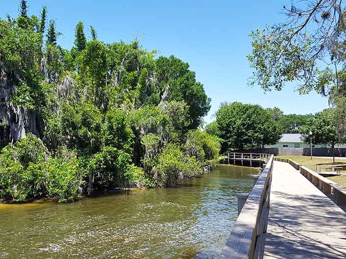 H.L. Bishop Park's boardwalk leads you into nature without requiring hiking boots or excessive enthusiasm for exercise.