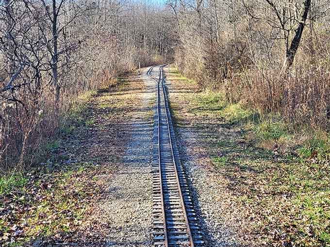 The tracks meander through wooded areas that look especially stunning when autumn decides to show off a bit.
